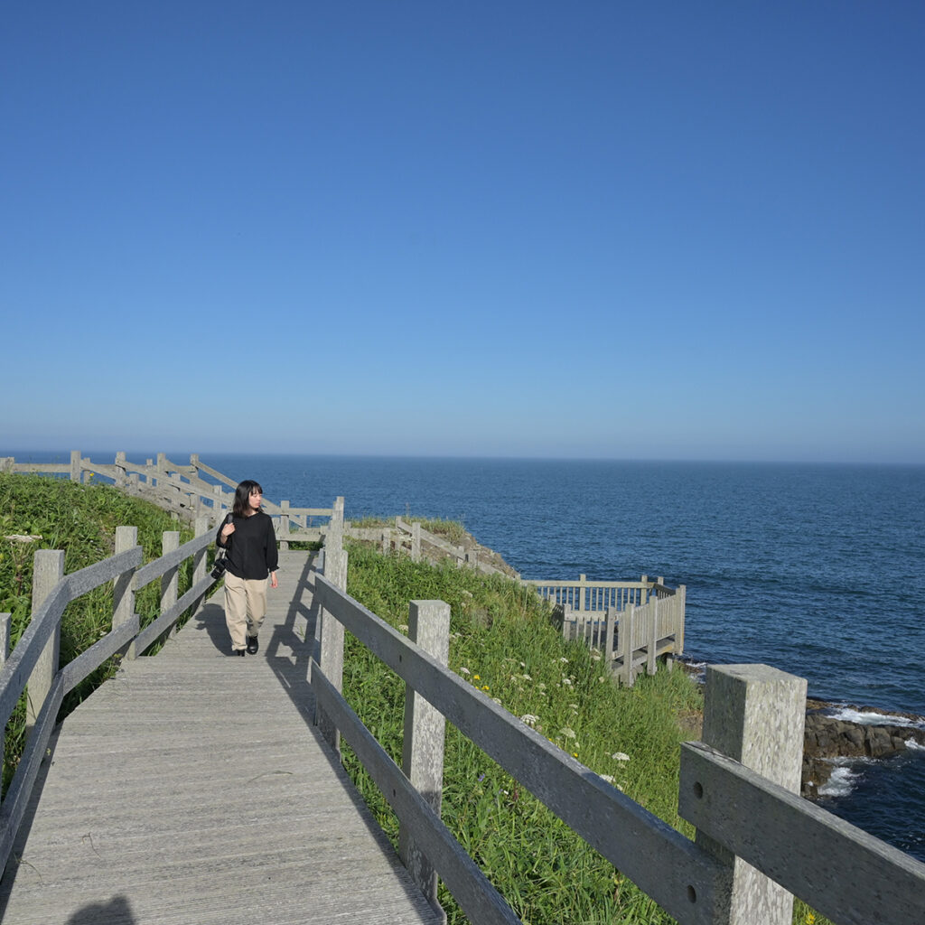 Hokkaido Nemuro City Tourism Official Web | DEEP HOKKAIDO NEMURO